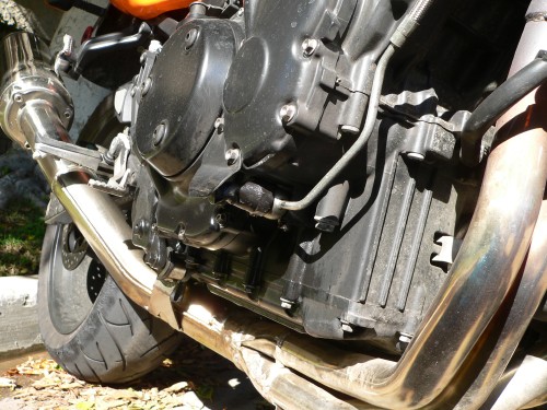 oil leak found? pics... | Triumph Rat Motorcycle Forums