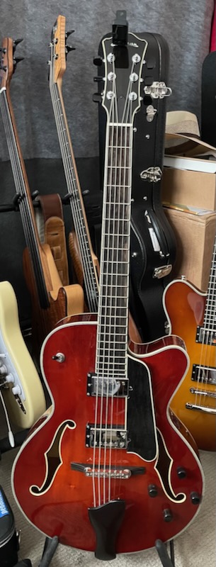 NGD: ok, I'm done for awhile - more hollow - The Acoustic Guitar Forum